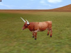 Trainz Download Station