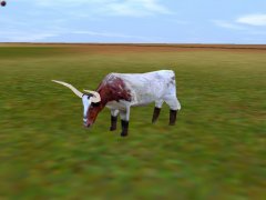 Trainz Download Station