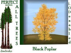 Trainz Download Station