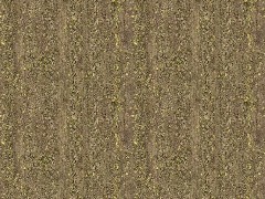 Trainz Download Station