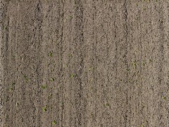 Trainz Download Station